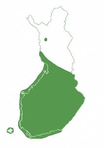 Ruutana - Maretarium